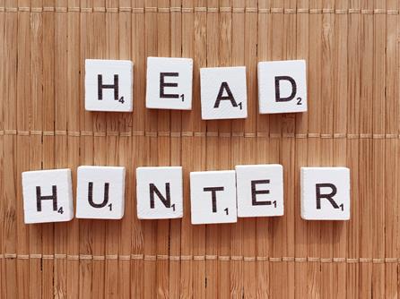 Você sabe o que é um headhunter? - Blog UniDomBosco