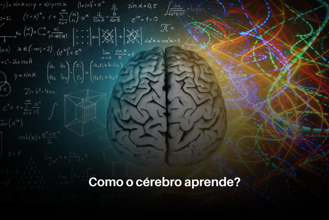 Cerebro De Conhecimento 3 Dicas Para Um Aprendizado Mais Rápido E