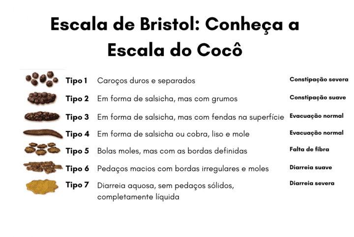 Escala de Bristol: entenda a escala do cocô - Blog UniDomBosco