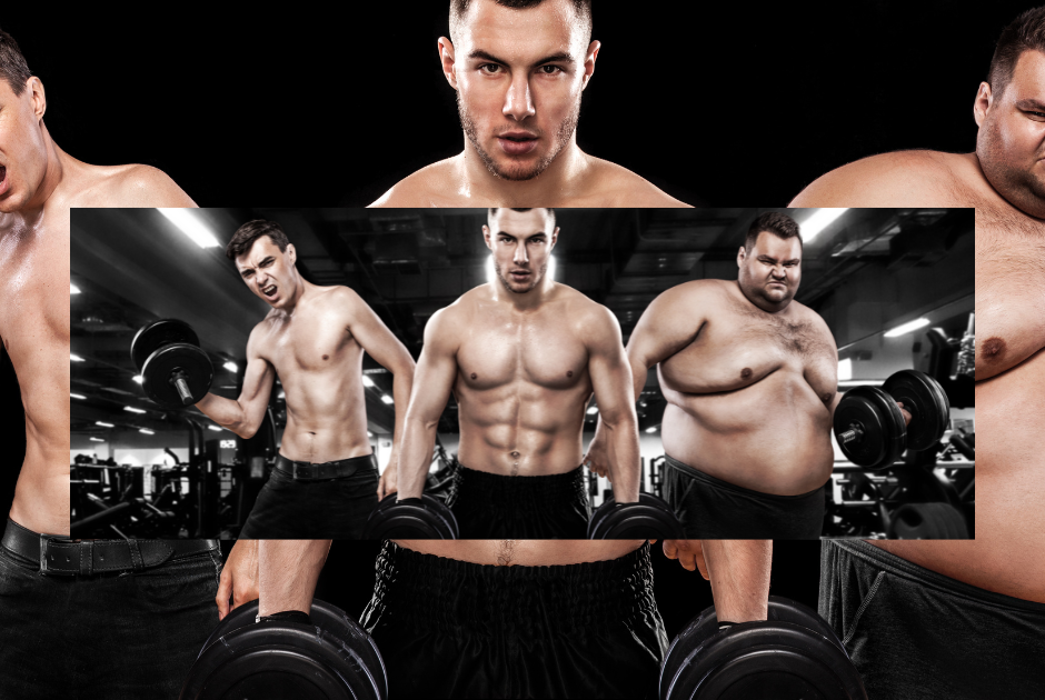 Biotipos mesomorfo, ectomorfo e endomorfo: entenda as diferenças - Blog ...